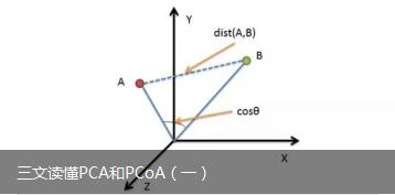 三文读懂PCA和PCoA（一） - 金唯智官网