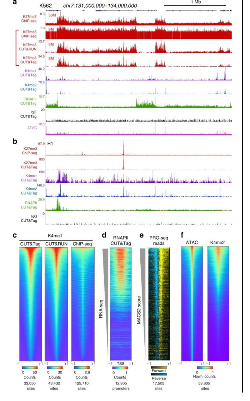 还在辛辛苦苦做ChIP？CUT&Tag技术了解下吧 - 金唯智官网