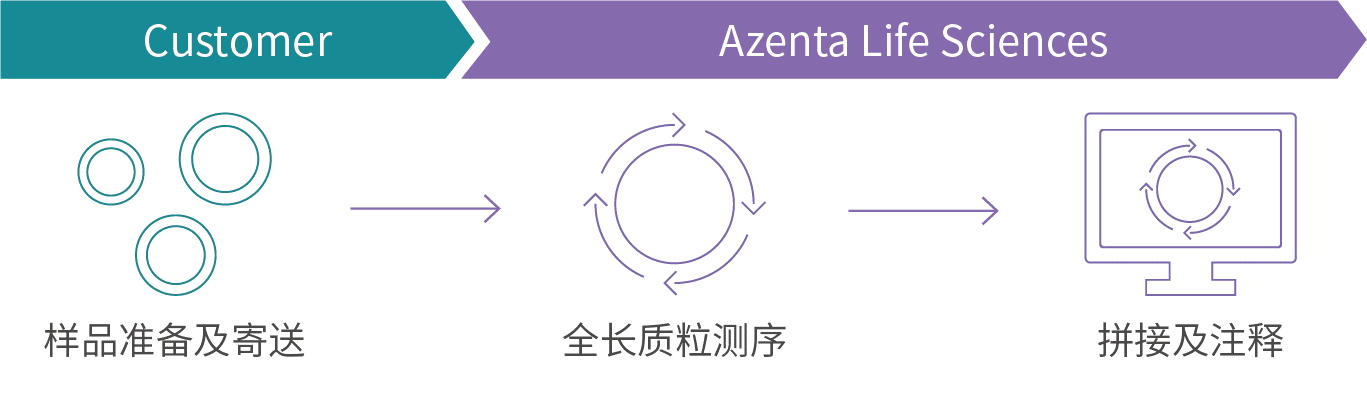 全质粒测序服务Plasmid-EZ - 金唯智官网