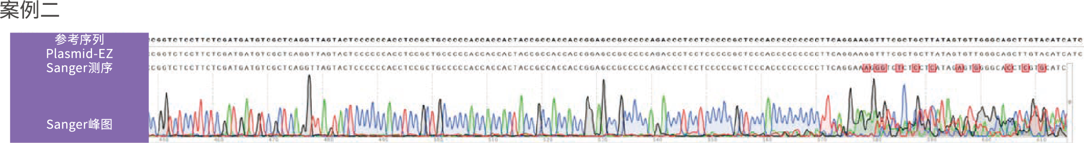 全质粒测序服务Plasmid-EZ - 金唯智官网
